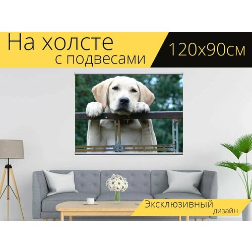 Картина на холсте "Собака, лабрадор, талисман" с подвесами 120х90 см. для интерьера