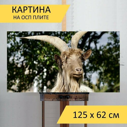 Картина на ОСП 125х62 см. "Козел, большие, рога" горизонтальная, для интерьера, с креплениями