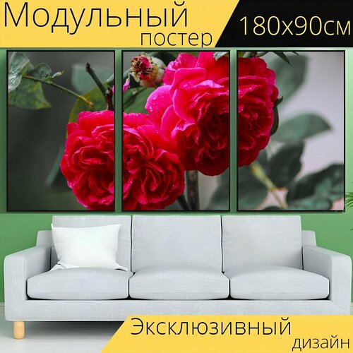 Модульный постер "Роза, цветок, природа" 180 x 90 см. для интерьера