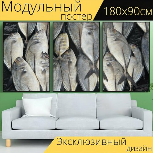 Модульный постер "Рыбы, рыбак, рыба" 180 x 90 см. для интерьера