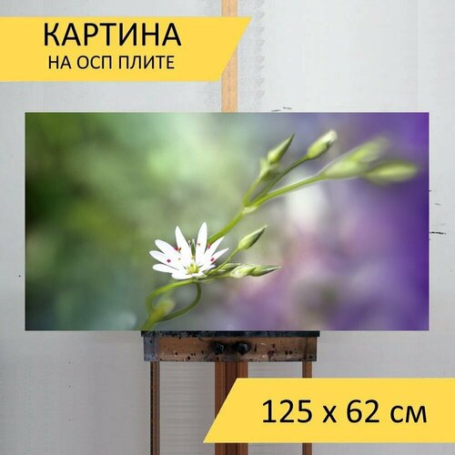 Картина на ОСП 125х62 см. "Цветок, цветы, весна" горизонтальная, для интерьера, с креплениями