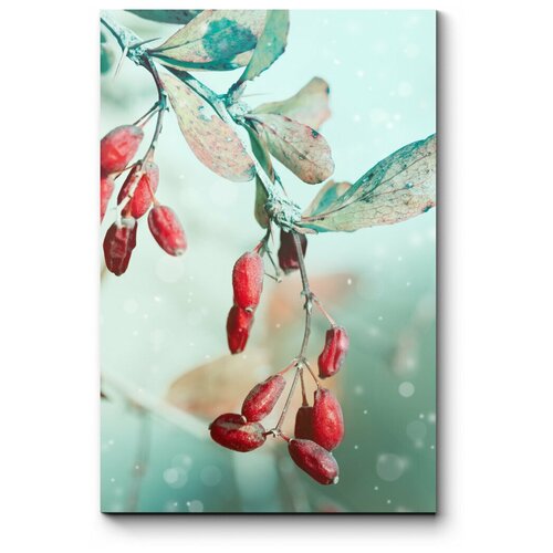 Модульная картина Красные ягоды, припорошенные снежком 50x75