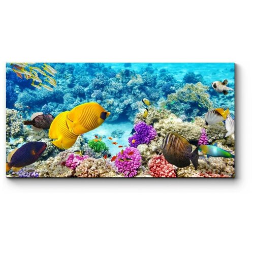 Модульная картина Коралловый риф 110x55