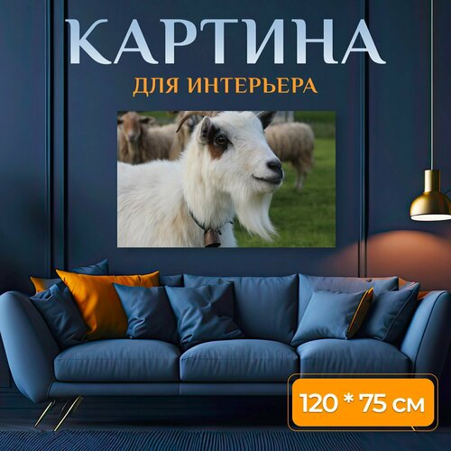 Картина на холсте "Млекопитающее, животное, овец" на подрамнике 120х75 см. для интерьера