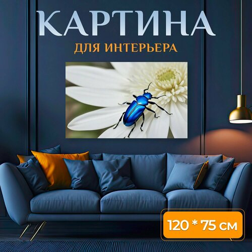 Картина на холсте любителям природы "Насекомые, жук, синий на большом белом цветке" на подрамнике 120х75 см. для интерьера