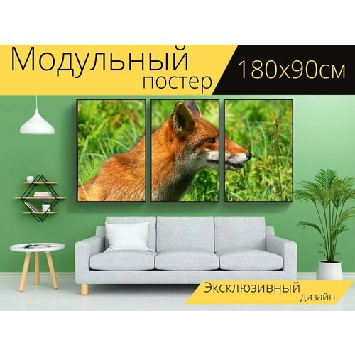 Модульный постер "Фокс, ру, фауна" 180 x 90 см. для интерьера
