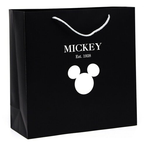 Disney Пакет ламинат "Mickey & Co", Микки Маус, 30 х 30 х 12