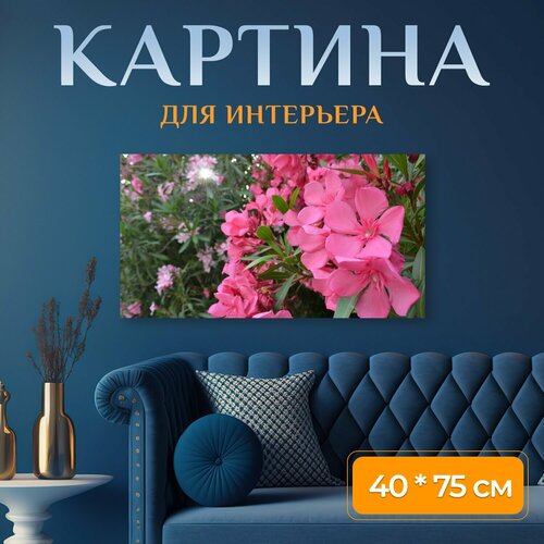 Картина на холсте "Миконос, розовый, цветок" на подрамнике 75х40 см. для интерьера