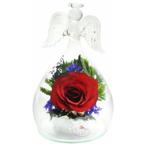 Natural Flowers Роза в стекле OaSR2 (13 см)