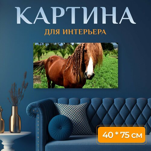 Картина на холсте "Лошади, природа, животные" на подрамнике 75х40 см. для интерьера