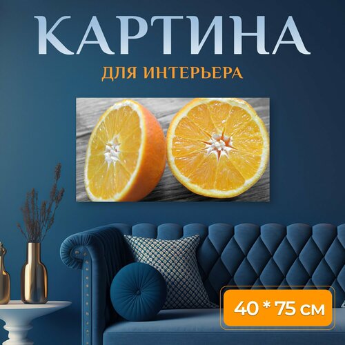 Картина на холсте "Фрукты, апельсин, оранжевый" на подрамнике 75х40 см. для интерьера