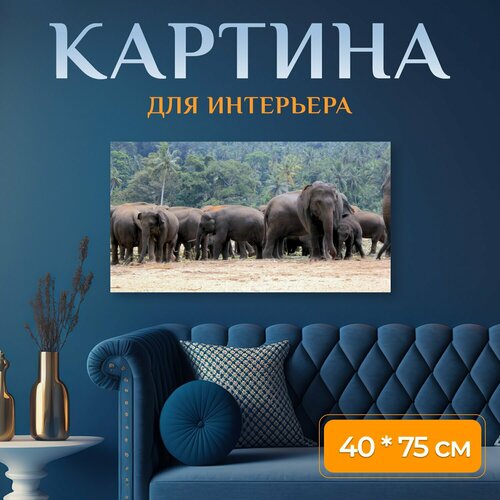 Картина на холсте "Слонов, слоны, слон стадо" на подрамнике 75х40 см. для интерьера