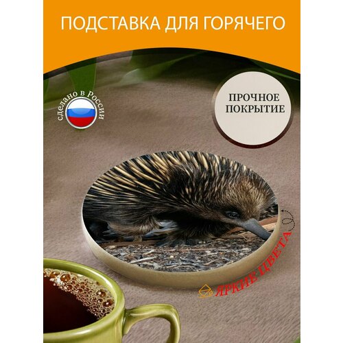 Подставка под горячее "Ехидна, еж, животное" 10 см. из блого мрамора
