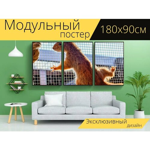 Модульный постер "Белка, бурундук, грызун" 180 x 90 см. для интерьера