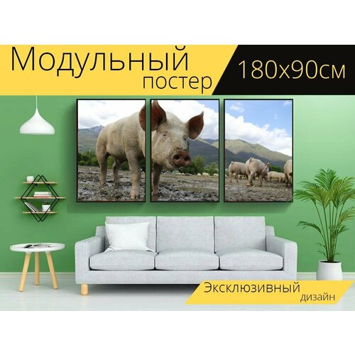 Модульный постер "Свинья, сеять, домашняя свинья" 180 x 90 см. для интерьера
