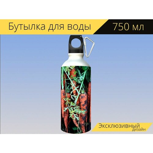 Бутылка фляга для воды "Морковь, овощи, растения" 750 мл. с карабином и принтом