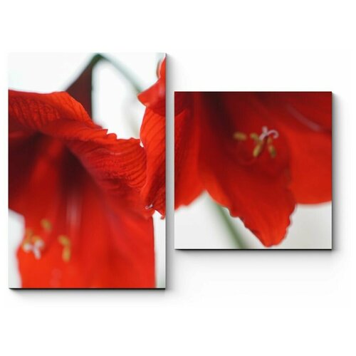 Модульная картина Красные цветы140x105
