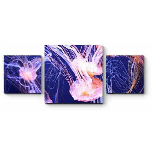 Модульная картина Очаровательные медузы120x51