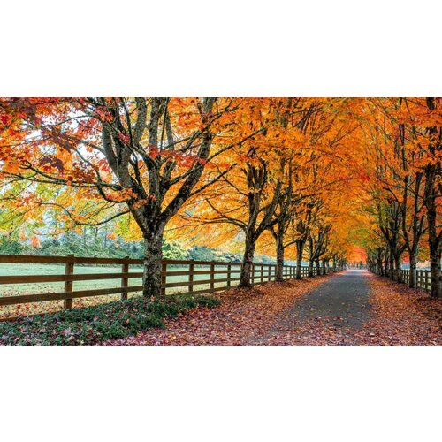 Картина на холсте 60x110 Альянс Лес "Осень пейзаж осенние краски" на подрамнике / интерьер/ декор