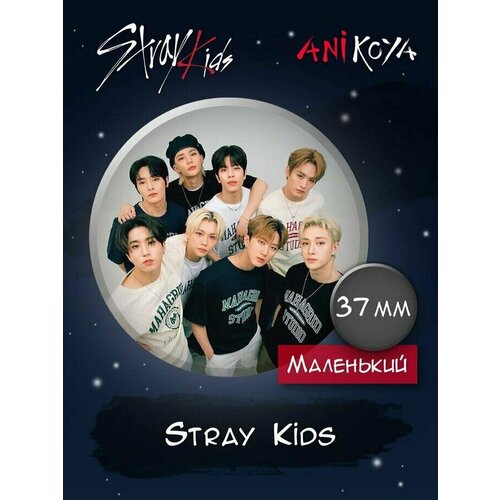 Значки на рюкзак Стрей Кидс Stray Kids мерч