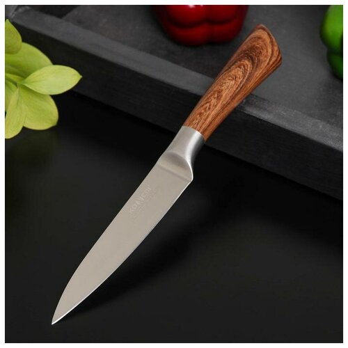 Нож кухонный Доляна Forest, универсальный, лезвие 12,5 см