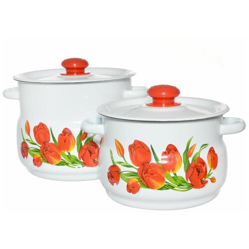 Набор эмалированной посуды 2 предмета белый Тюльпаны (кастрюли 5,5л, 4л) / набор эмалированных кастрюль