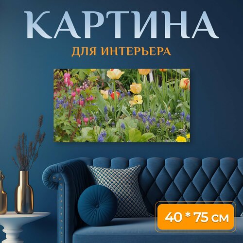 Картина на холсте "Сад, цветы, цветочные луковицы" на подрамнике 75х40 см. для интерьера