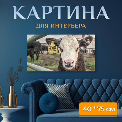 Картина на холсте "Телец, корова, сельскохозяйственное животное" на подрамнике 75х40 см. для интерьера