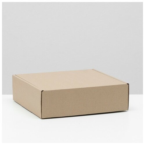 Коробка самосборная, бурая, 24 х 24 х 7,5 см