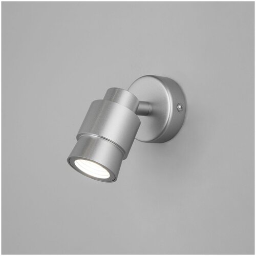 Настенный светодиодный светильник Eurosvet 20125/1 серебро