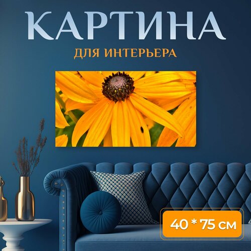 Картина на холсте "Цветок, эхина, ботаника" на подрамнике 75х40 см. для интерьера