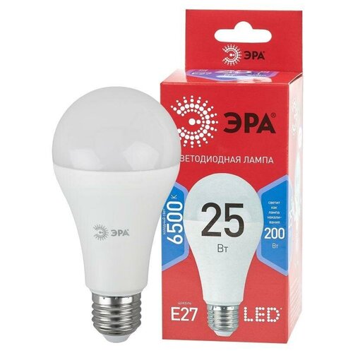 Лампа светодиодная ECO LED A65-25W-865-E27 R (диод груша 25Вт холодн. E27) (10/100/1200) Эра Б0048011 (4шт. в упак.)