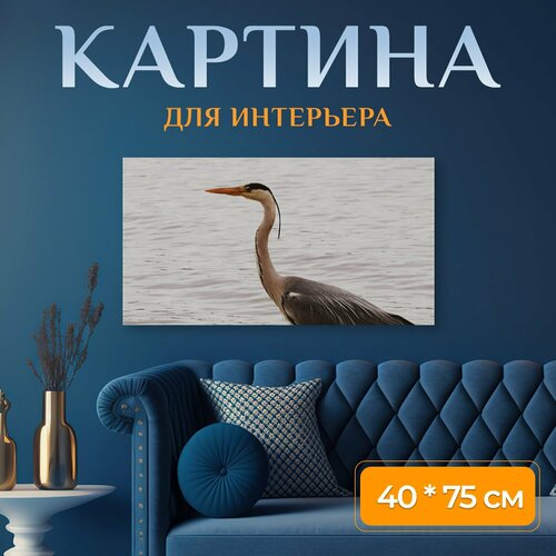 Картина на холсте "Цапля, вода, птица" на подрамнике 75х40 см. для интерьера