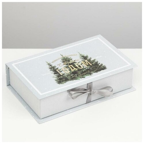Коробка‒книга «Новогодняя ночь», 20 × 12.5 × 5 см