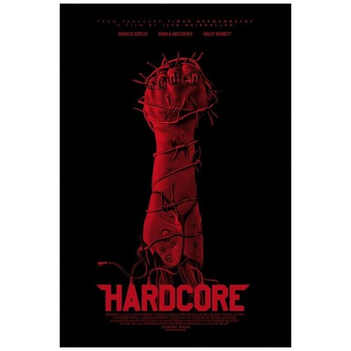 Плакат, постер на бумаге Hardcore, Хардкор. Размер 30 х 42 см