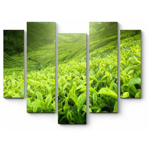 Модульная картина Бескрайняя зелень полей 161x131