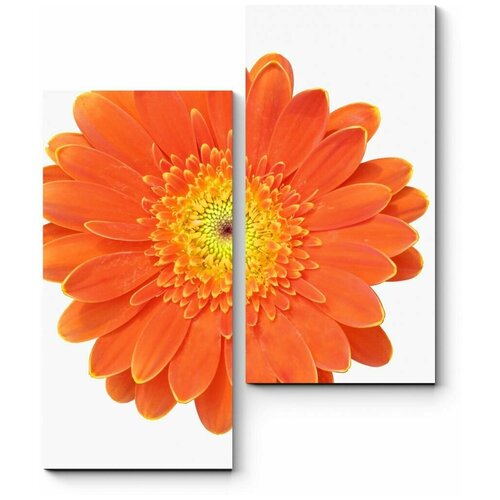Модульная картина Огненно-оранжевая гербера 50x63