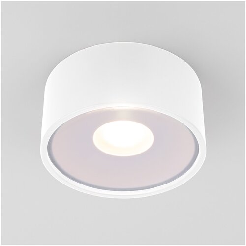 Уличный потолочный светильник Elektrostandard Light LED 2135 IP65 35141/H белый
