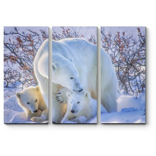 Модульная картина Семейная прогулка полярных медведей 90x65