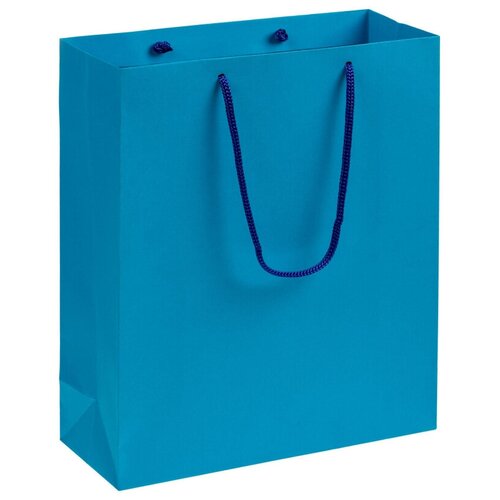Пакет подарочный Wide, голубой,23х28х9,2см, бумага,74440.14 1584881 74440,14