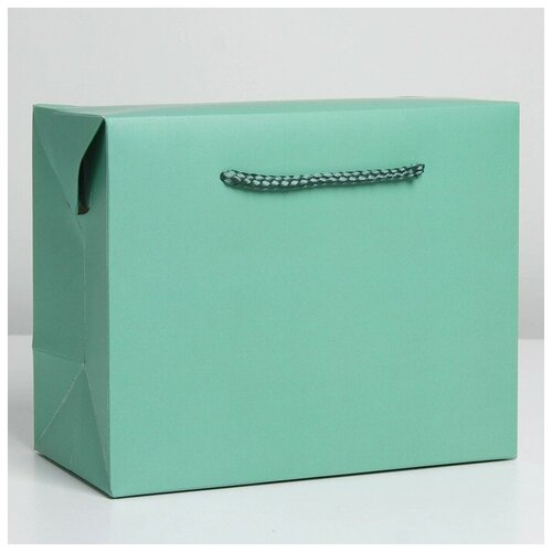 Пакет — коробка «Тиффани», 23 × 18 × 11 см
