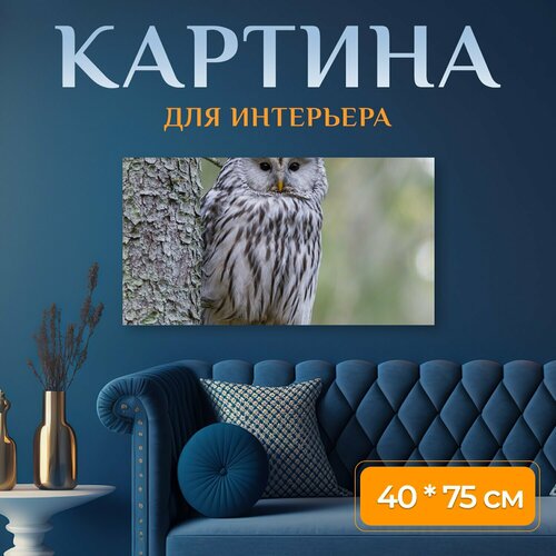 Картина на холсте "Уральская сова, птица, сова" на подрамнике 75х40 см. для интерьера