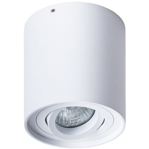 Потолочный светильник Arte Lamp Falcon A5645PL-1WH