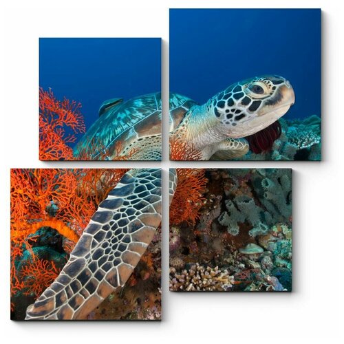 Модульная картина Морская черепаха в кораллах130x130
