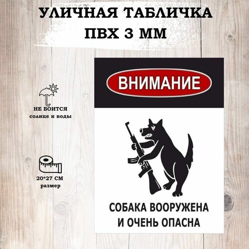 Табличка уличная "Осторожно злая собака" для интерьера, информационная.