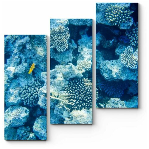 Модульная картина Коралловые рифы 80x85