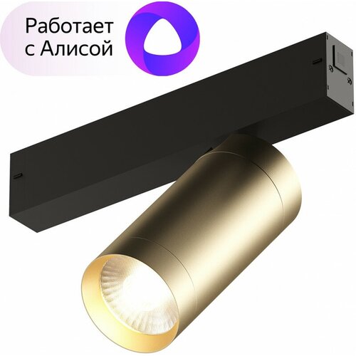 Трековый светильник Denkirs Smart Spot DK8020-BG