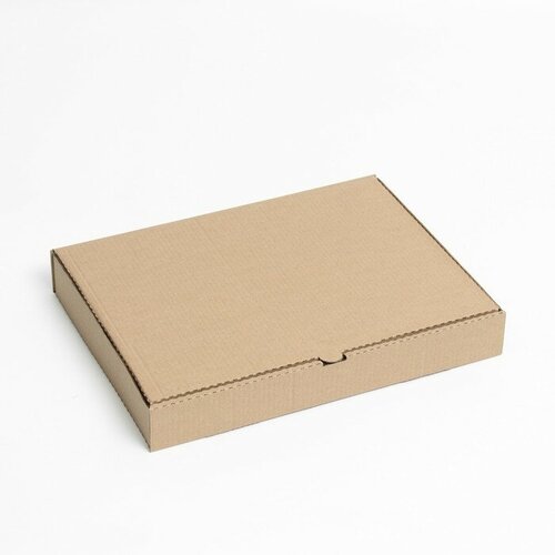 Коробка для пирога, крафт, 45 х 33 х 6 см (10 шт)