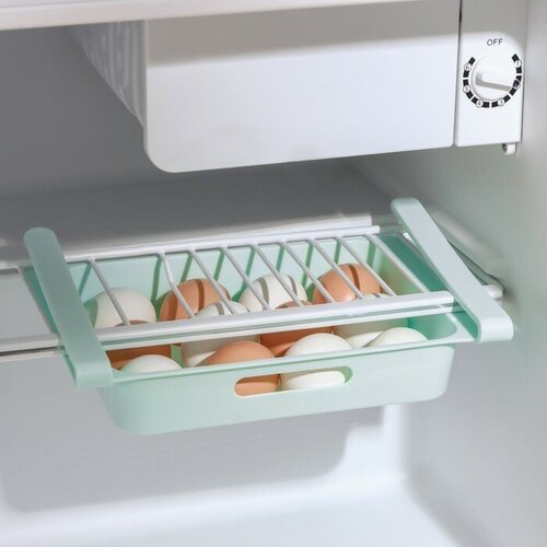 Полка для яиц в холодильник, подвесная, 12 ячеек, 26x17x5 см, цвет микс