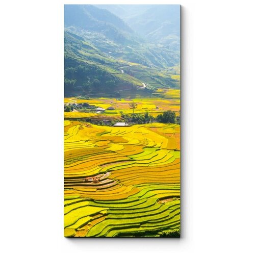 Модульная картина Рисовые поля у подножия гор Вьетнама 20x40